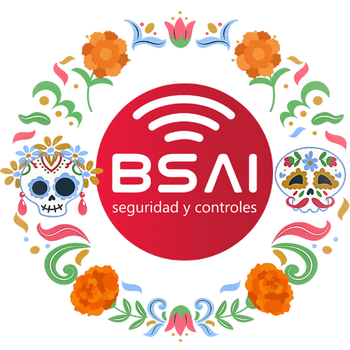 Bsai Seguridad y Controles | Acceso, Seguridad, Comunicación y Redes.